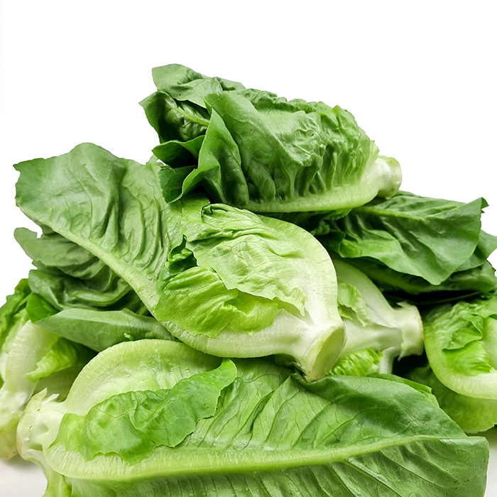 Baby Romaine 1KG - Greens Bali