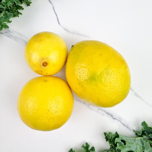 Lemon Lokal 1KG - Greens Bali