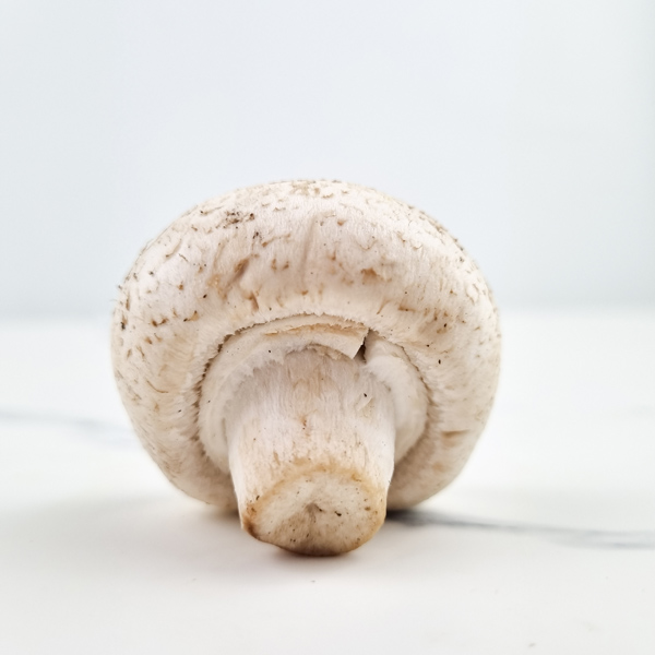 Mushroom Button 1KG - Greens Bali
