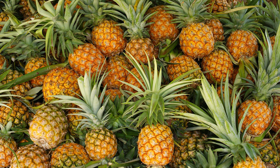 Enjoy Pineapples in Bali - Greens Bali